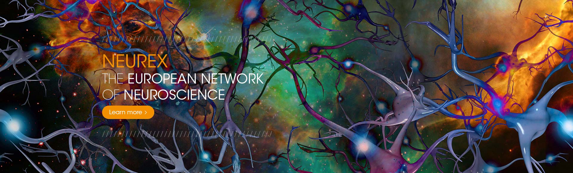 Neuroscience Upper Rhine network - Neurex
