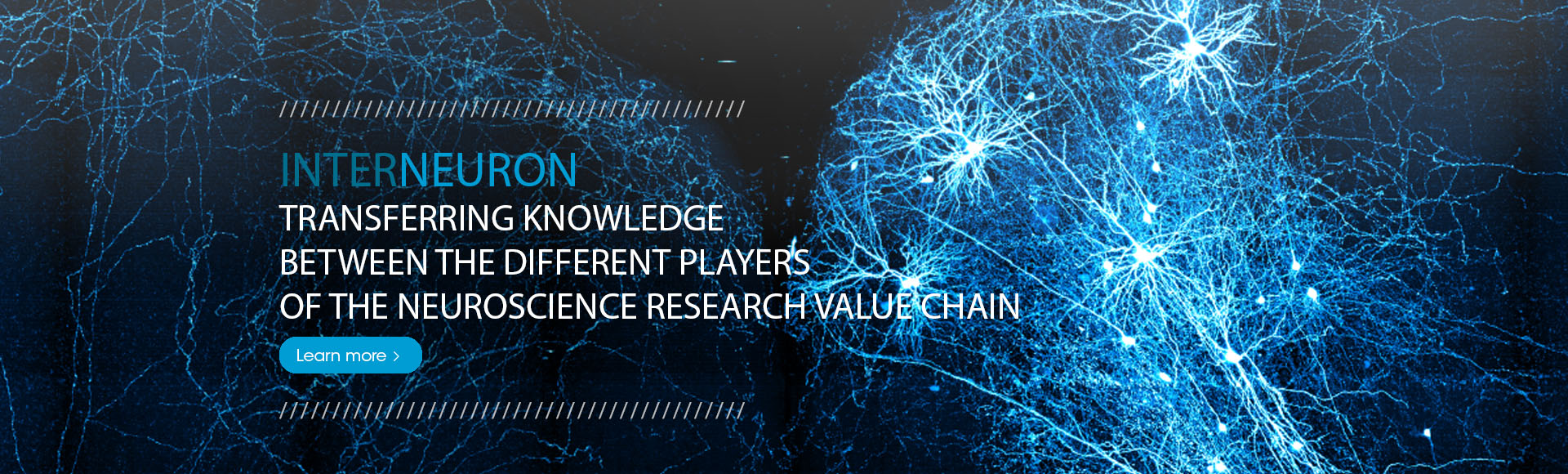 Neuroscience Upper Rhine network - Neurex